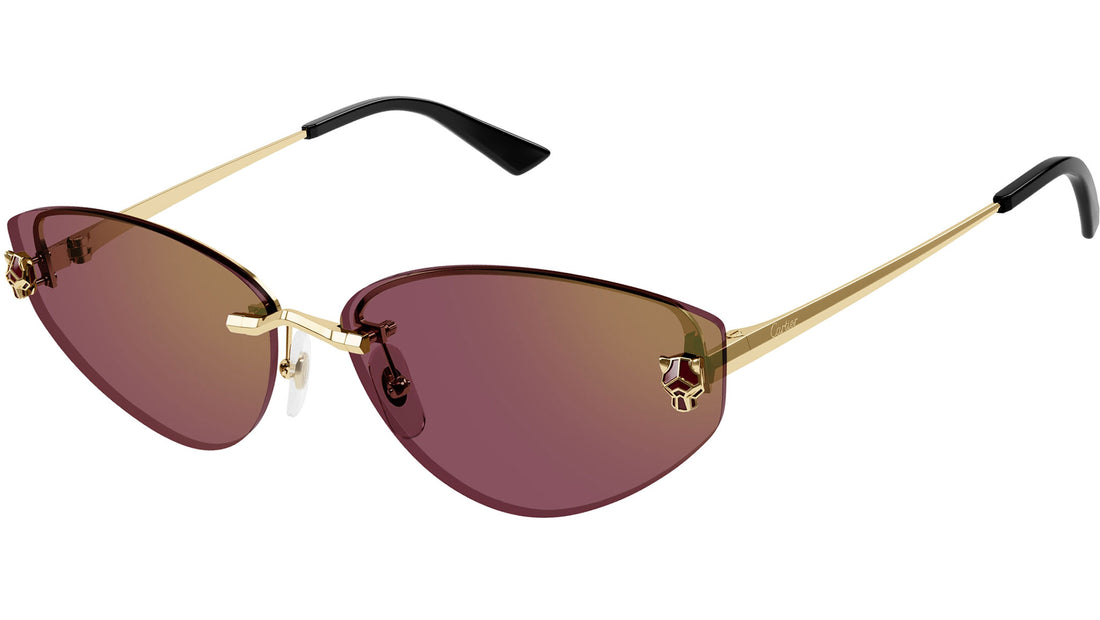 Top Cartier Sunglasses for 2024-2025 - eye-oo.com